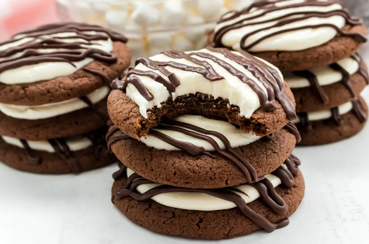 Delectable Marshmallow Biscuits Recipe - feastfulcuisine.com